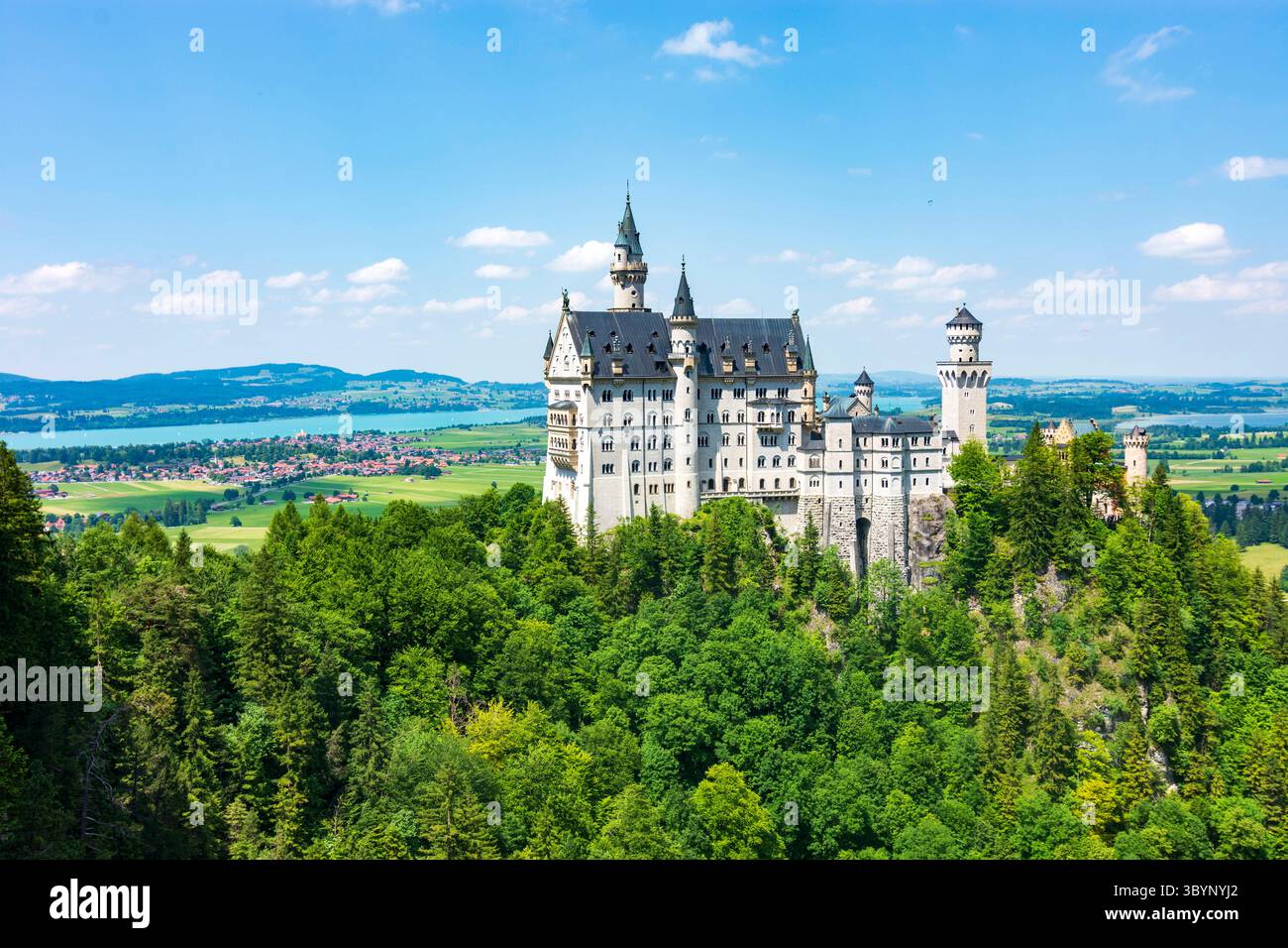 Schloss Neuschwanstein Castle, lake Forggensee Schwangau Schwaben ...