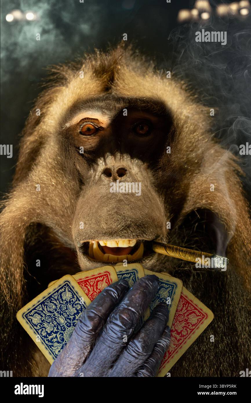 The immitation game hi-res stock photography and images - Alamy