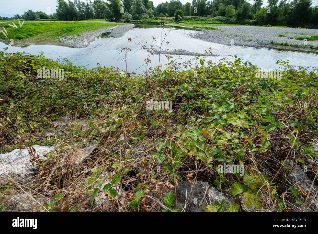 The Serio (Lombard: Sère is an Italian river that flows entirely within ...
