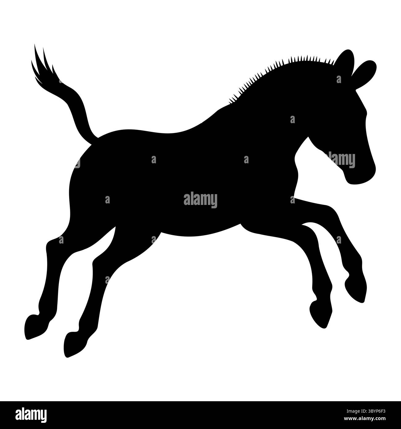 Zebra print flat Cut Out Stock Images & Pictures - Alamy