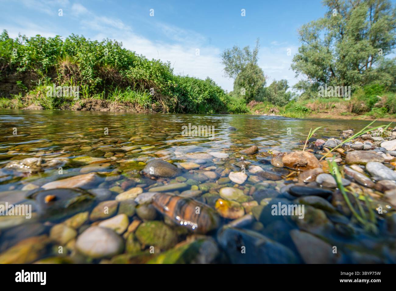 The Serio (Lombard: Sère is an Italian river that flows entirely within ...
