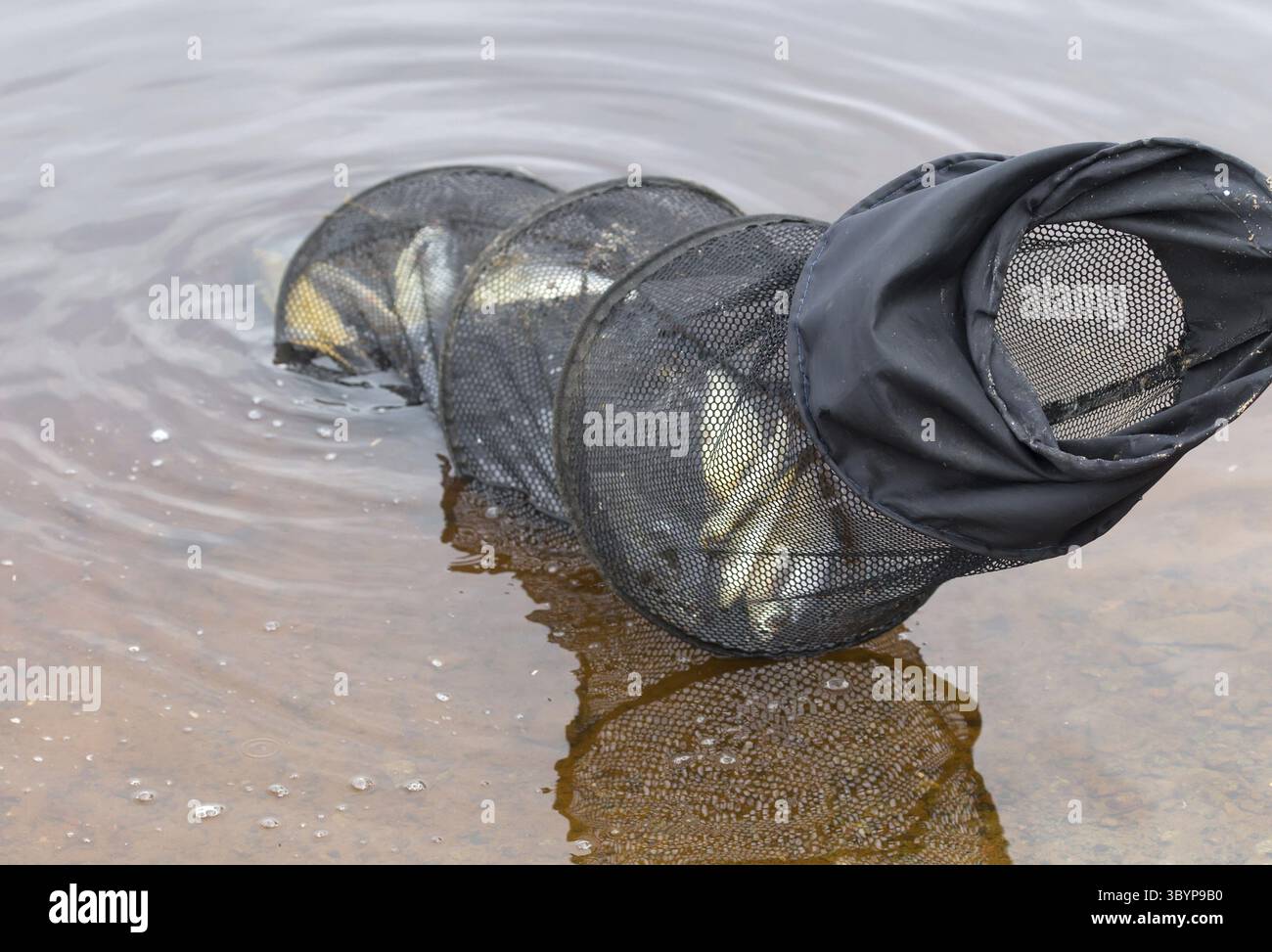 Lowered sabre hi-res stock photography and images - Alamy
