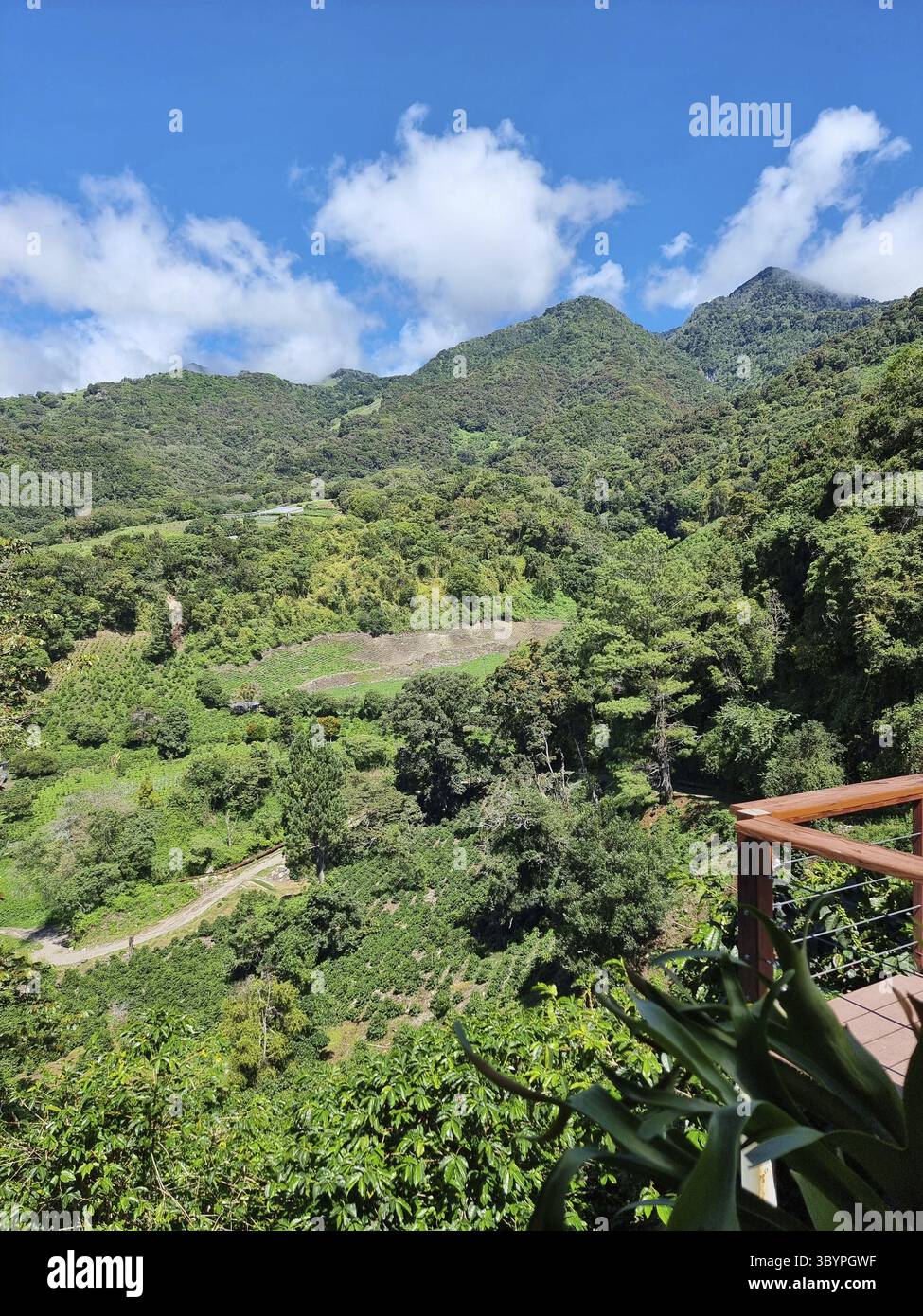 Panama boquete view point hi-res stock photography and images - Alamy