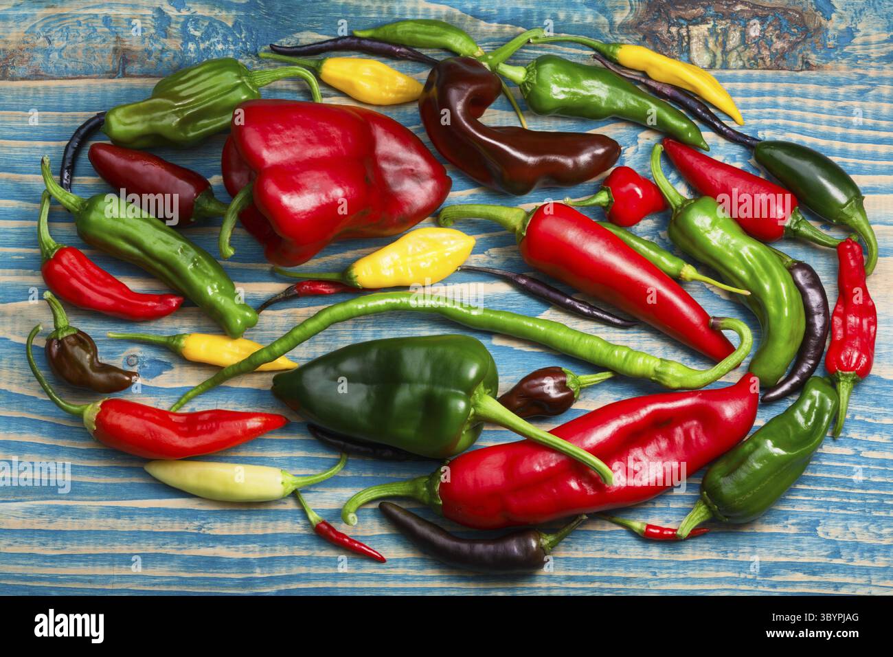 Colorful chile peppers mix. Different shapes and colors, top view Stock ...