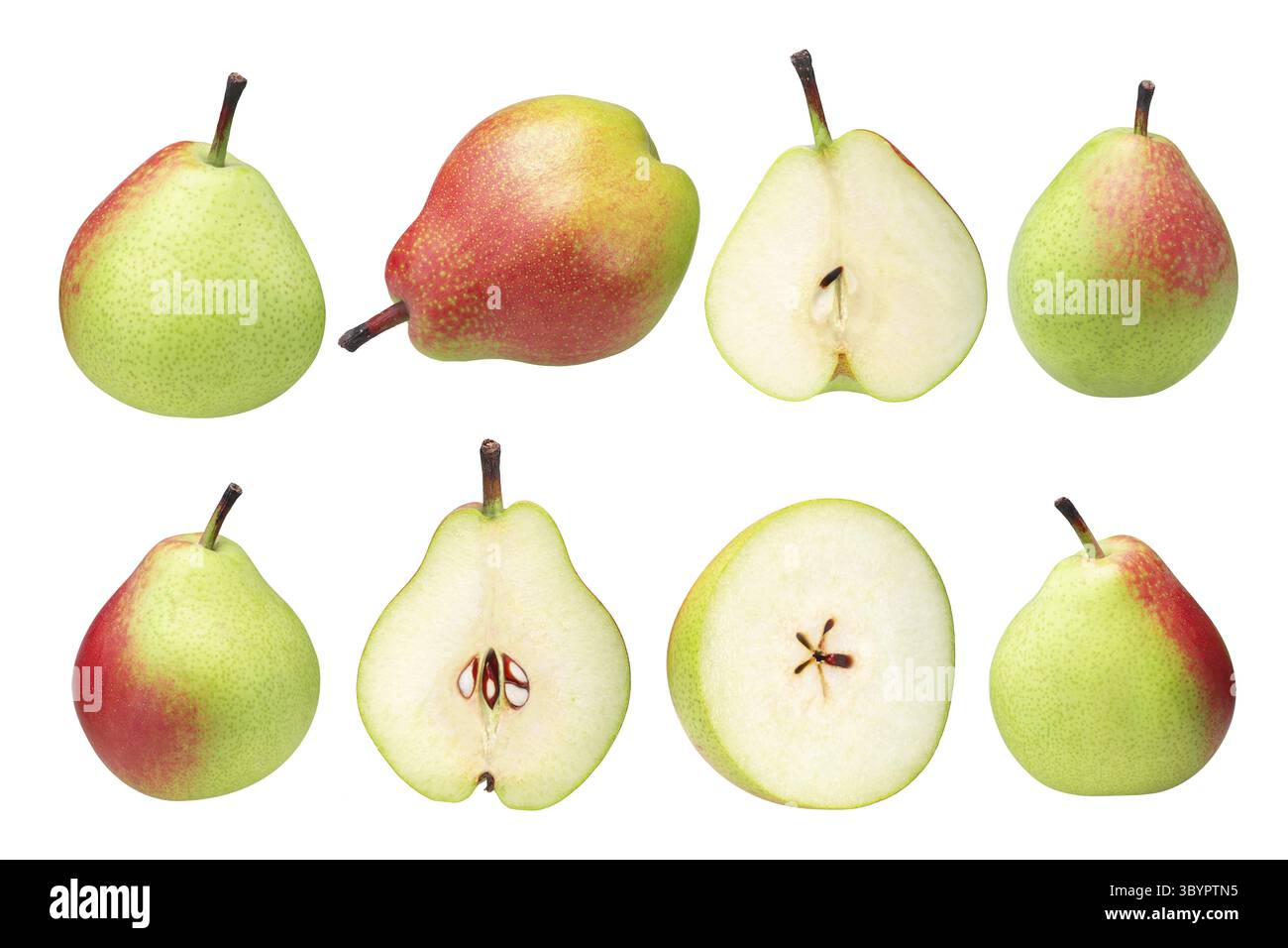 Seckel Pears (Pyrus communis fruits), whole and cut, isolated, a set of ...