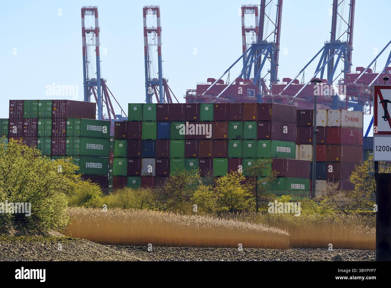 Companies yang ming hi-res stock photography and images - Alamy