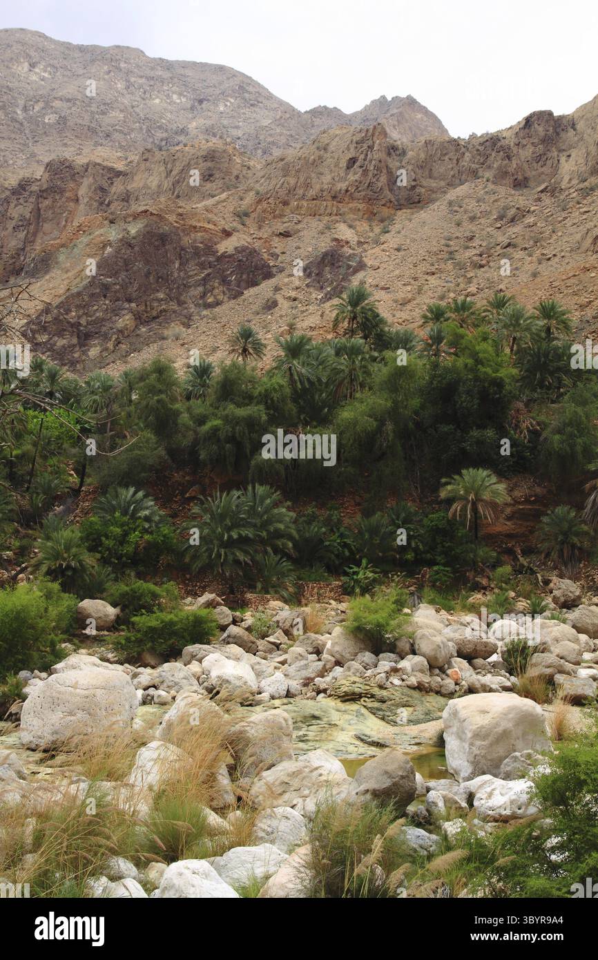 Wadi Tiwi, Sultanate of Oman, Oman Stock Photo - Alamy