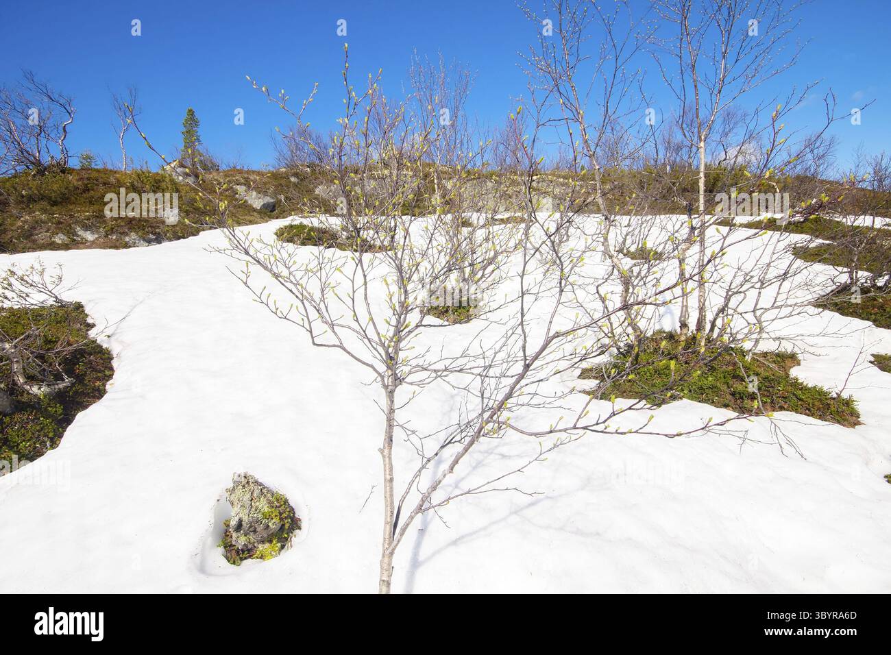 Spring thaw thawing hi-res stock photography and images - Alamy