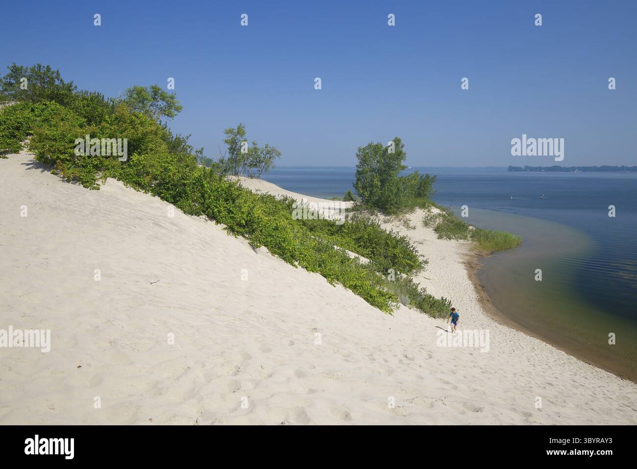 Dunes at Sandbanks Provincial Park, Prince Edward County, Lake Ontario, Province of Ontario ...