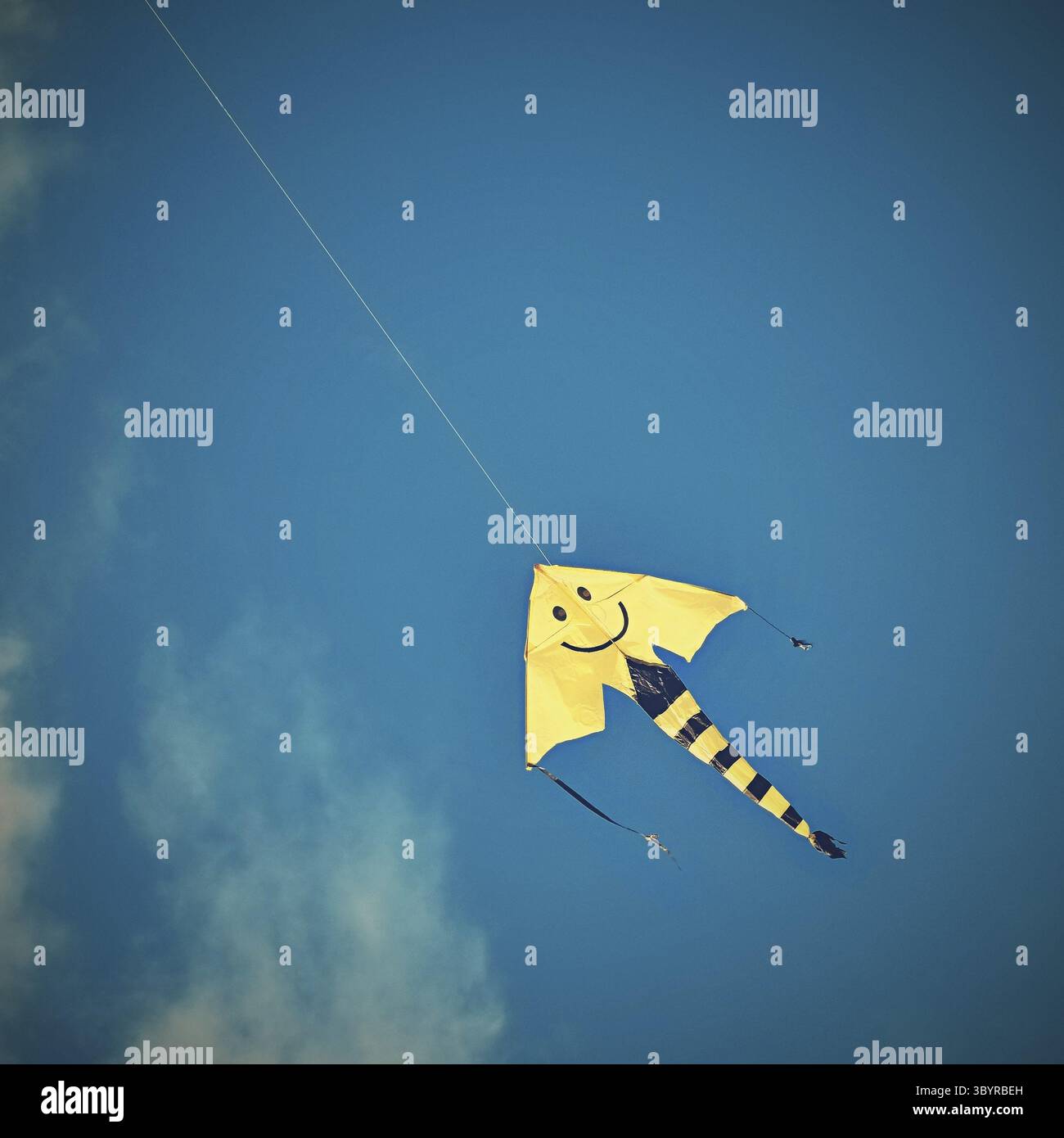 Kite flying in the beautiful autumn windy day. Blue sky background with ...