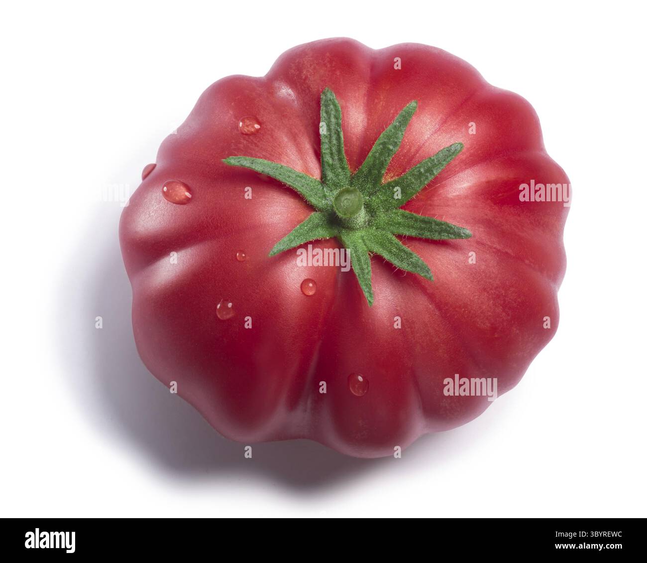 Pink ribbed heirloom tomato, imperfect, irregular shaped, with sepal ...