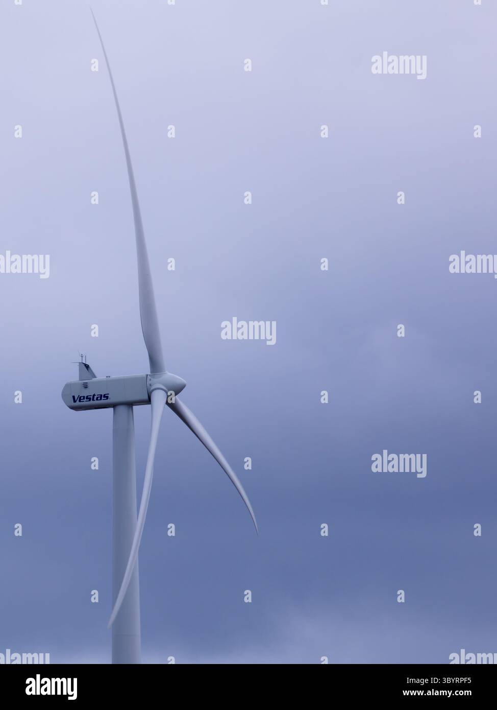 Lone wind turbine rises against muted Amsterdam sky, its slender blades ...