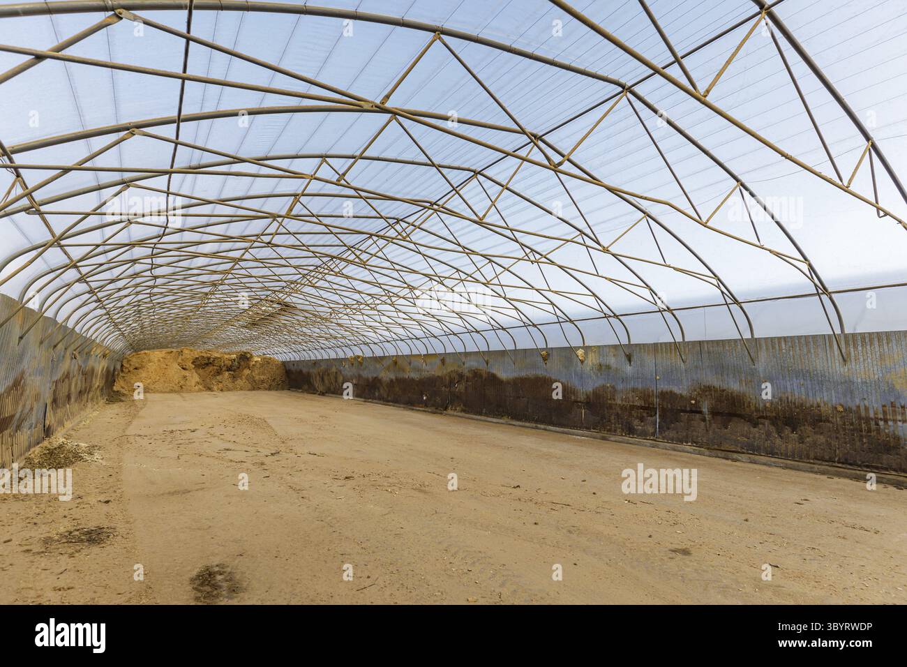 Half empty industrial building with sawdust. Transparent glass roof ...