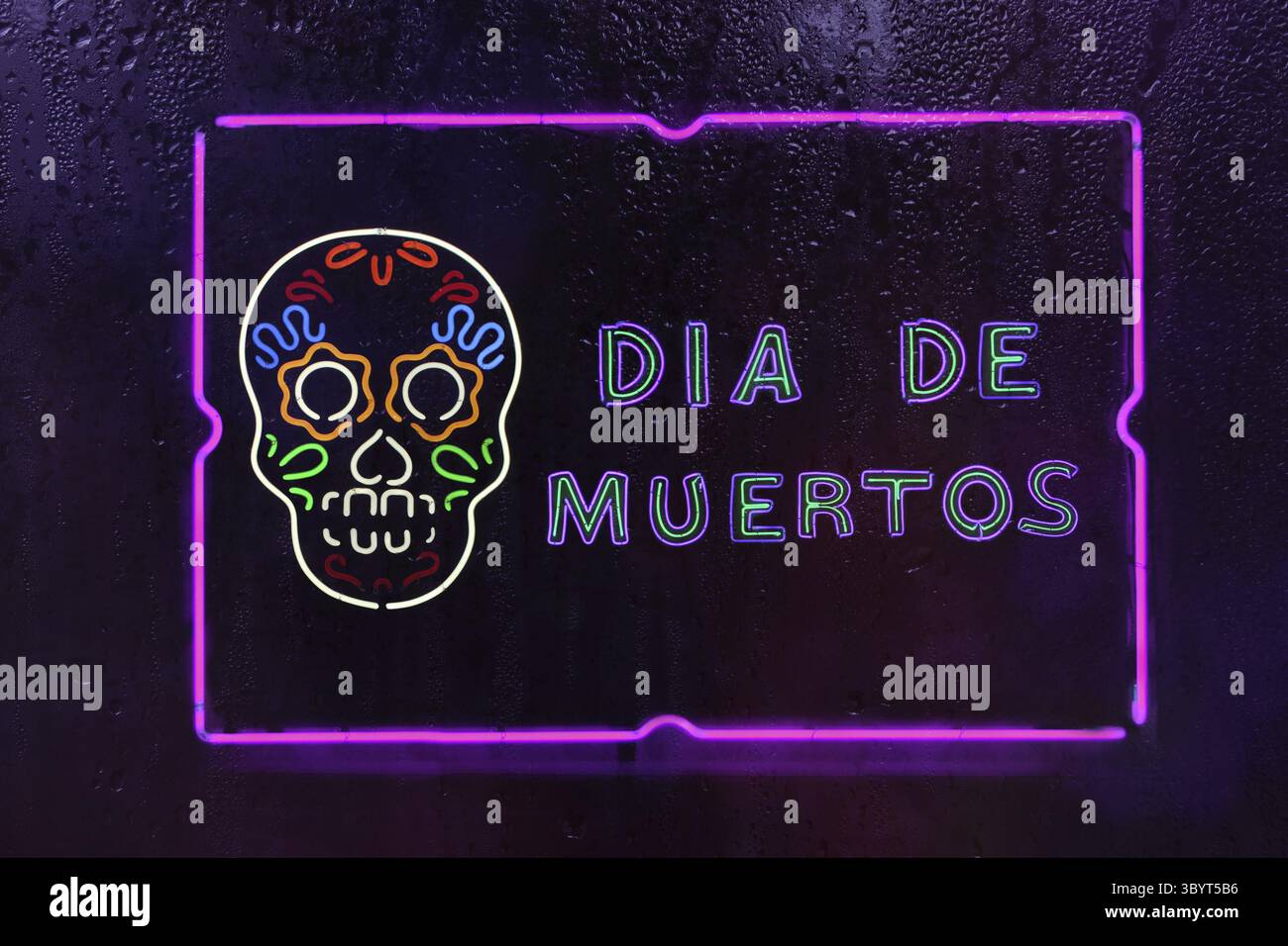 Neon Dia De Muertos Sign Mexican Day of Dead Festival in Rainy Window ...
