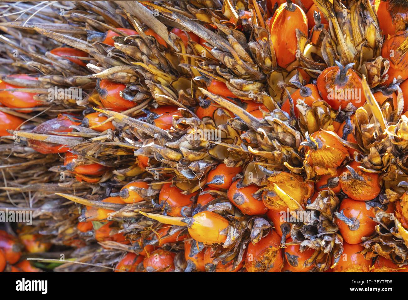 Pesticides used in fruits hi-res stock photography and images - Alamy