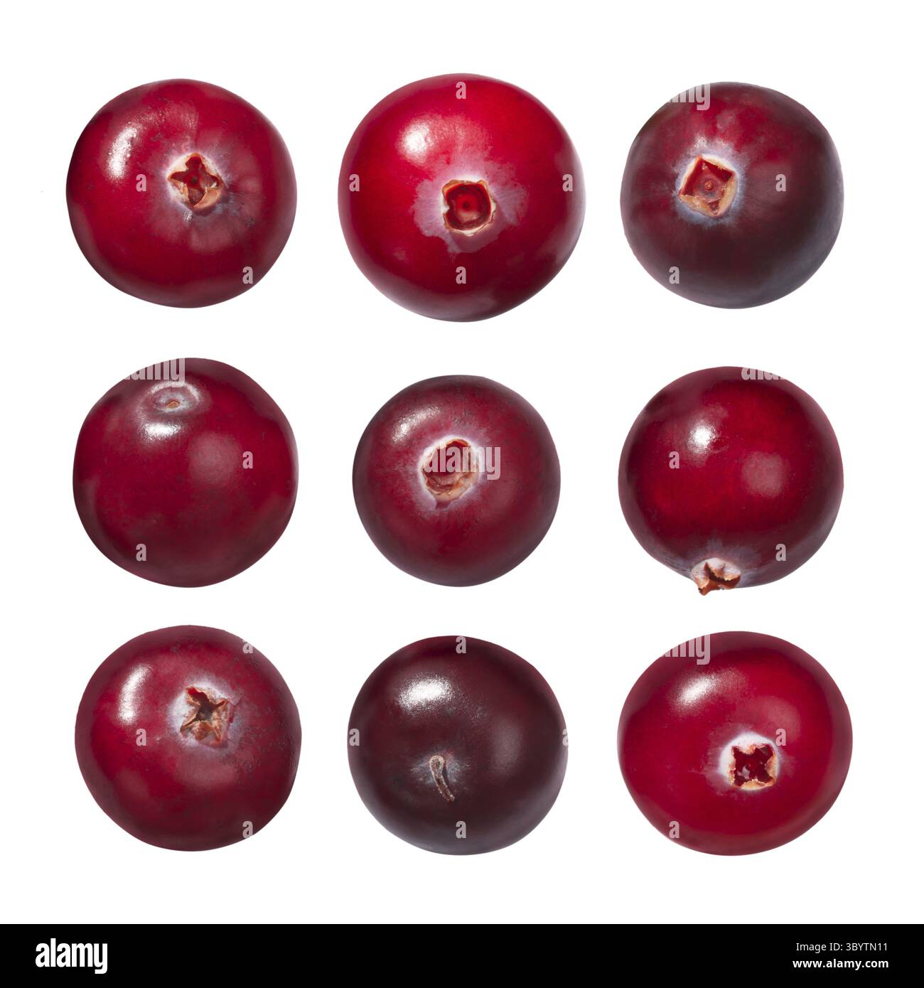Cranberries (Vaccinium oxycoccus), isolated, top view, single berries ...