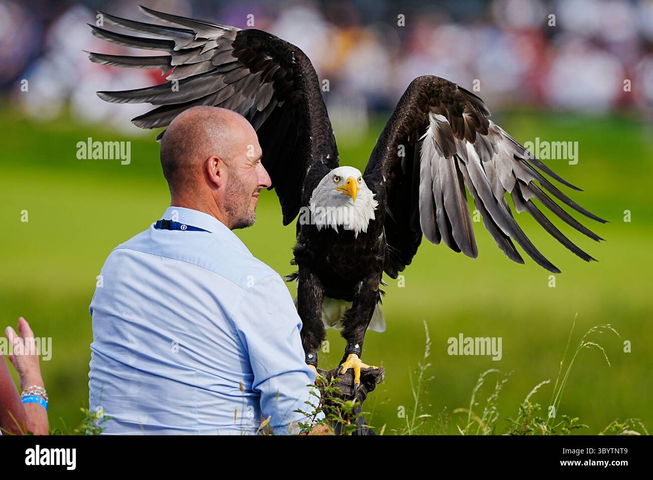 A general view of an eagle during day four of The 153rd Open ...