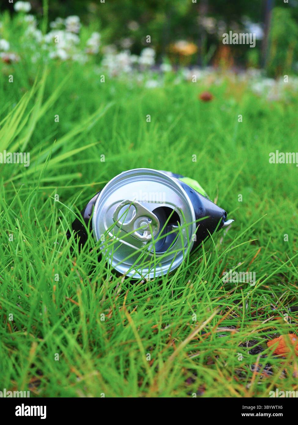 Discarded aluminum beverage can rests on green grass a symbol of ...