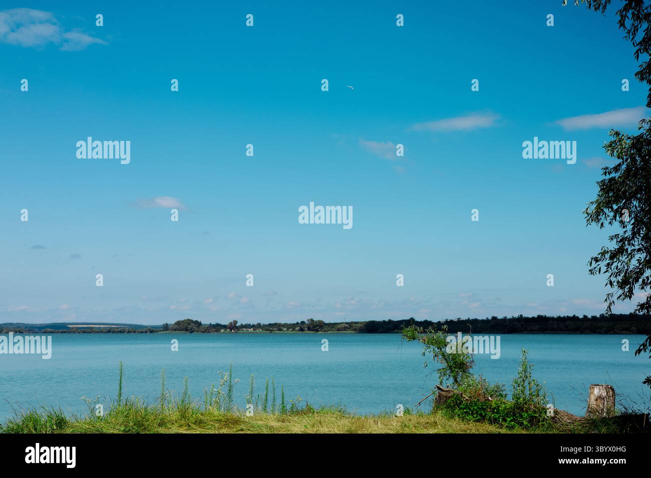 The calm blue lake reflects the clear sky on a beautiful summer day. A ...