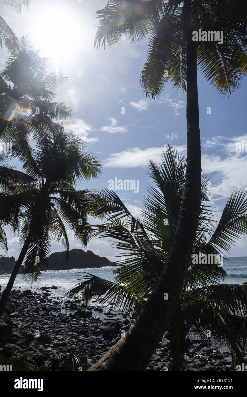 Brazilian island of Fernando de Noronha. Praia do Cachorro beach Stock ...