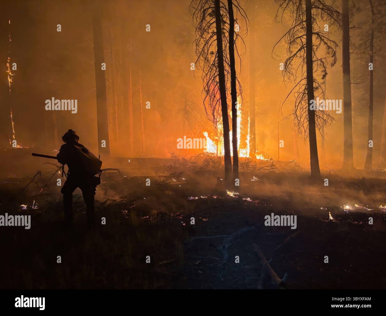 North Rim, United States. 10 July, 2025. A firefighter fights the ...