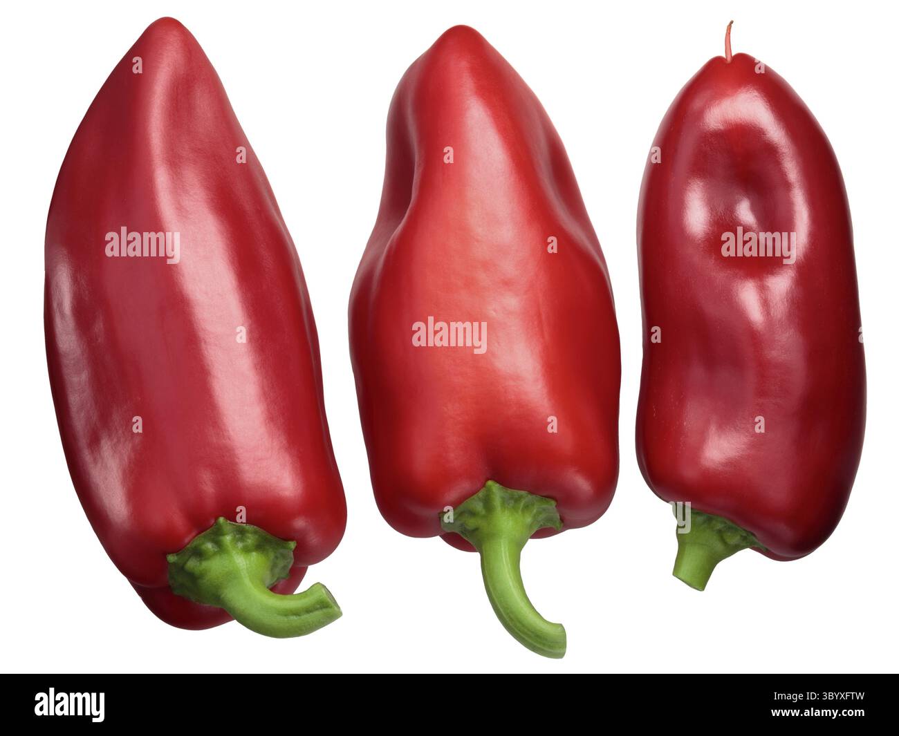 Red bell peppers Grueso de Plaza, a Spanish heirloom, fresh, whole pods ...