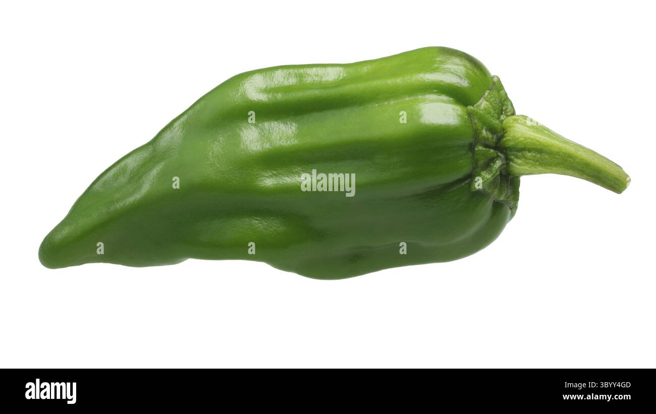 Stavros chile, a Greek pickle pepper, whole fresh pod (Capsicum annuum ...