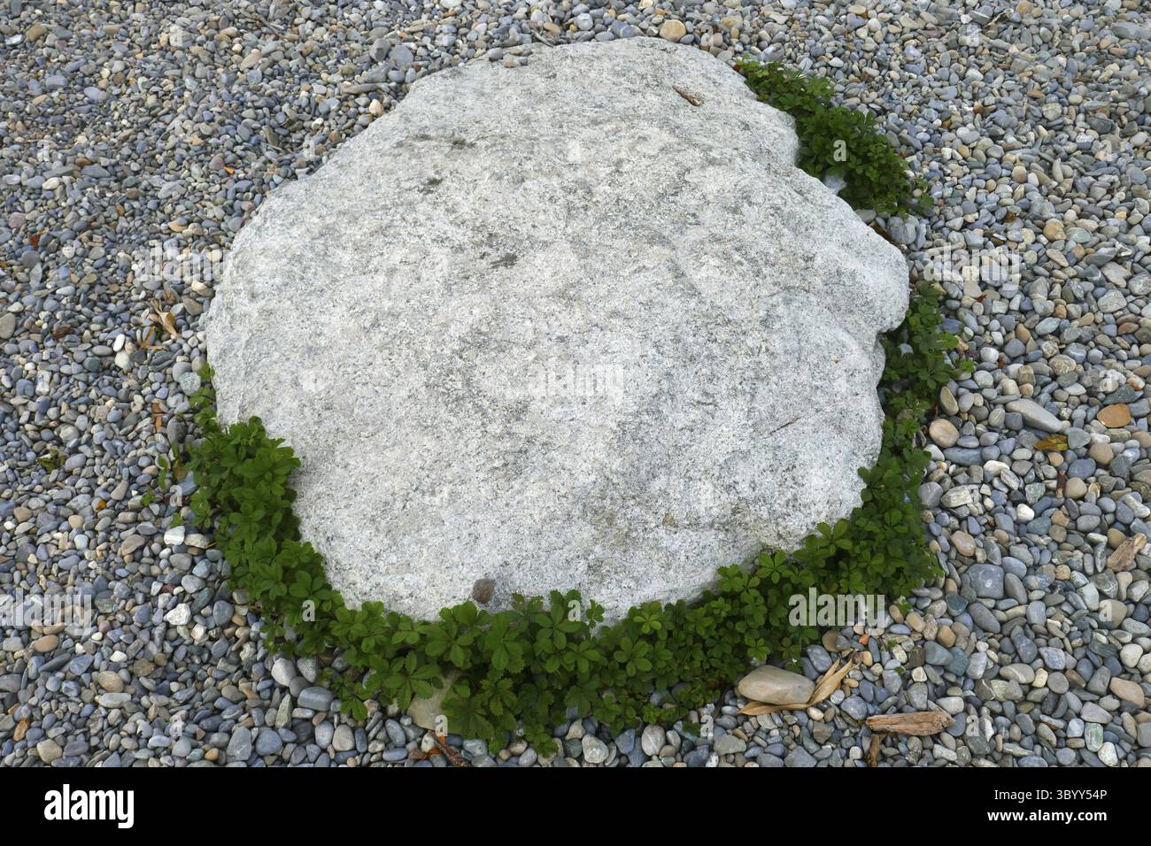 Erratic growth hi-res stock photography and images - Alamy
