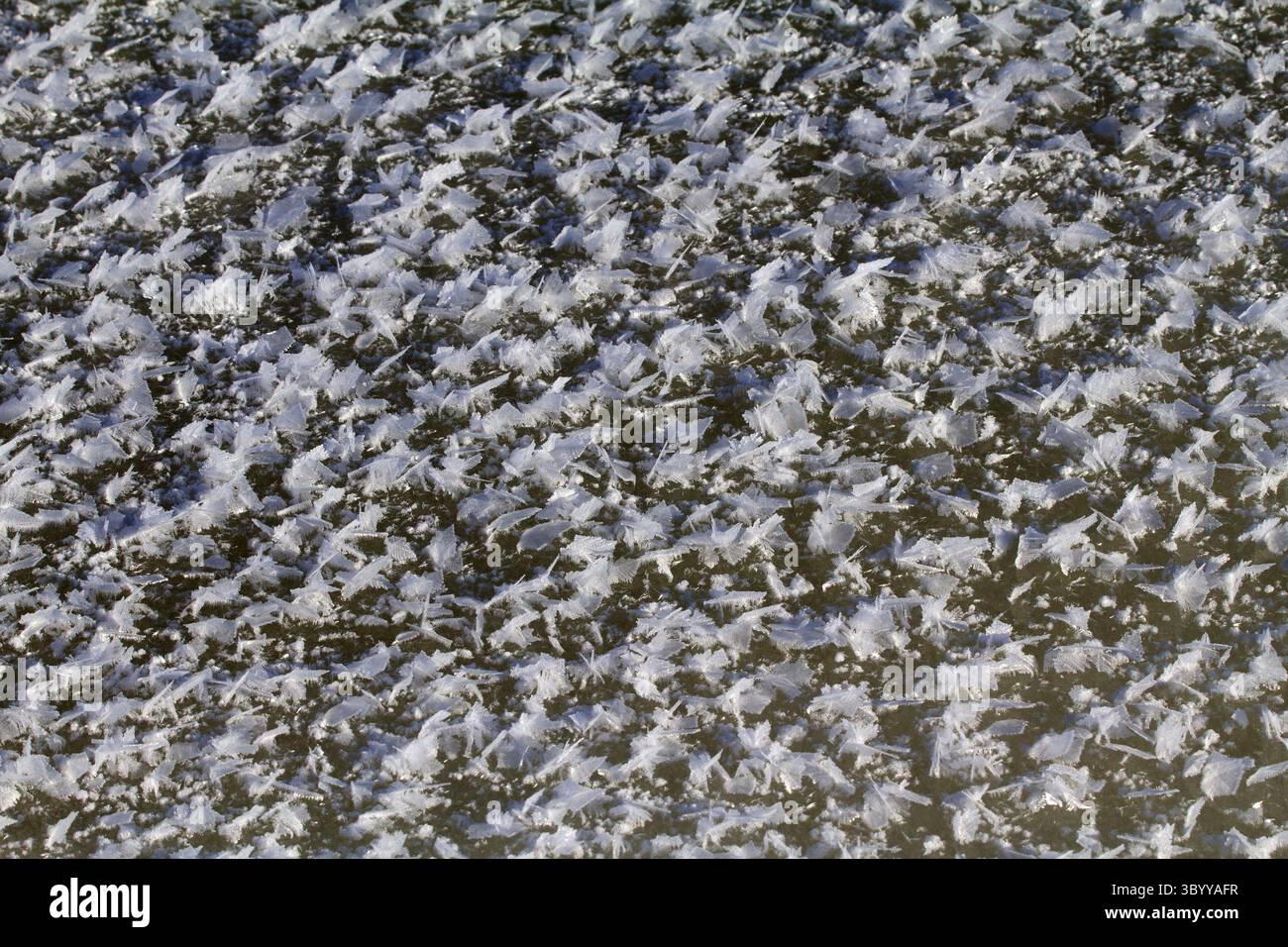 Patterns on sea ice in a hard frost Stock Photo - Alamy