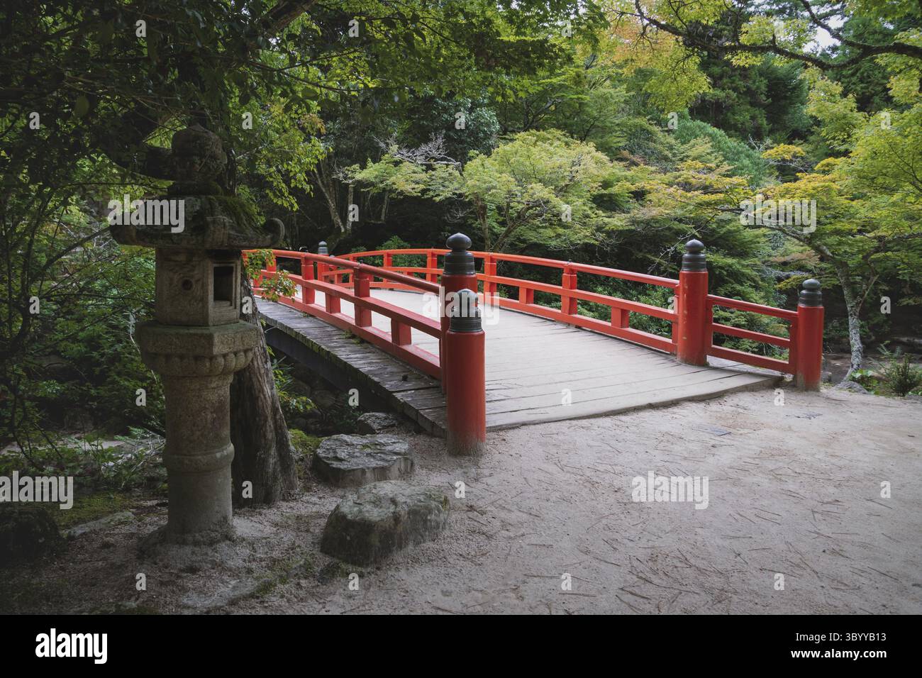 Typical japanese bridge sourrounded by autumn maple trees in park on ...