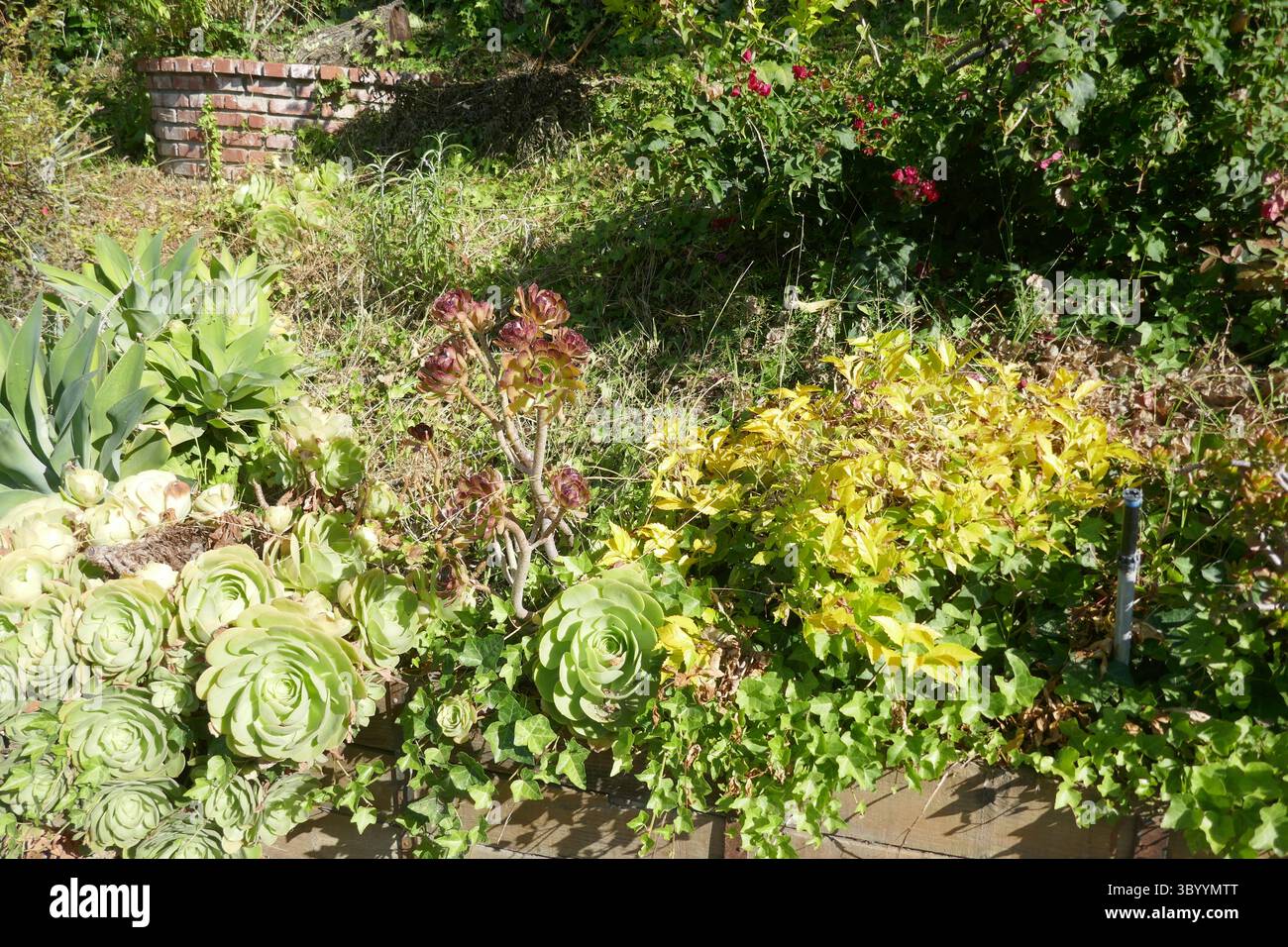 Encino, California, USA 2nd July 2025 TV Personality Peter Marshall ...