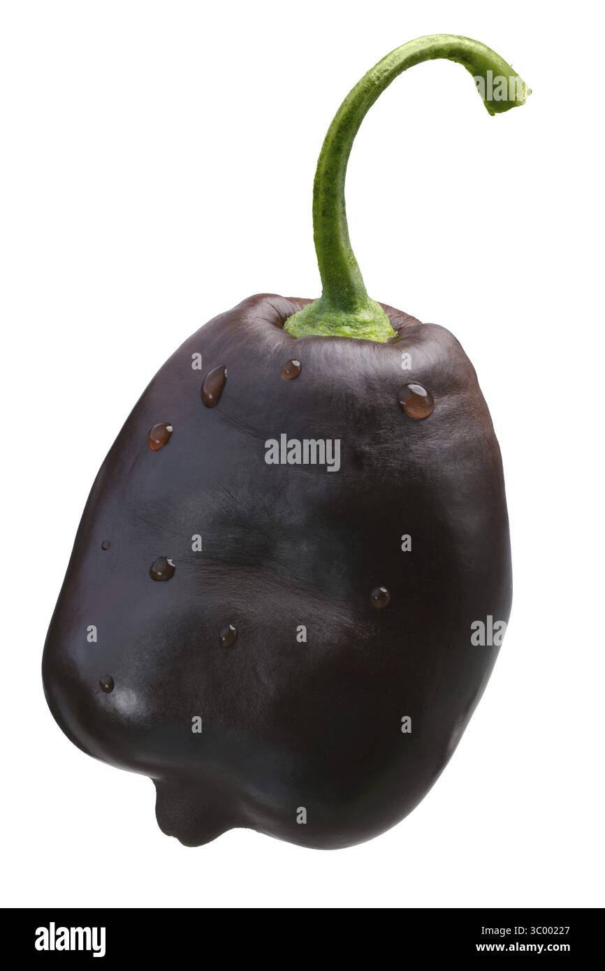 Rocoto pepper peru Cut Out Stock Images & Pictures - Alamy