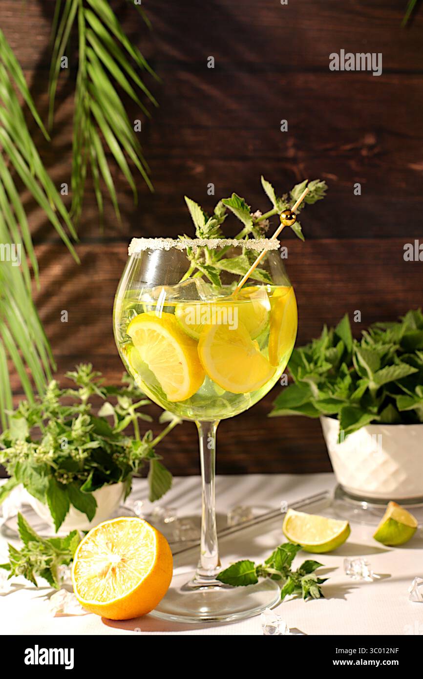 Mint alcoholic or non-alcoholic cocktail with lemon, lime and ice ...