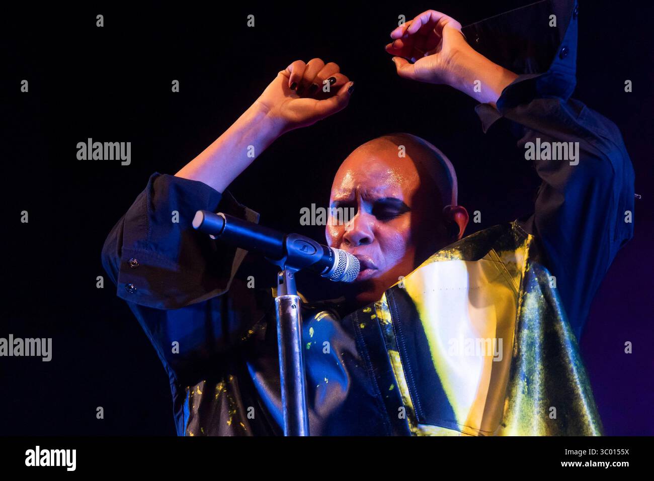 Croatia, Zagreb, 200725. Concert by the British band Skunk Anansie at ...