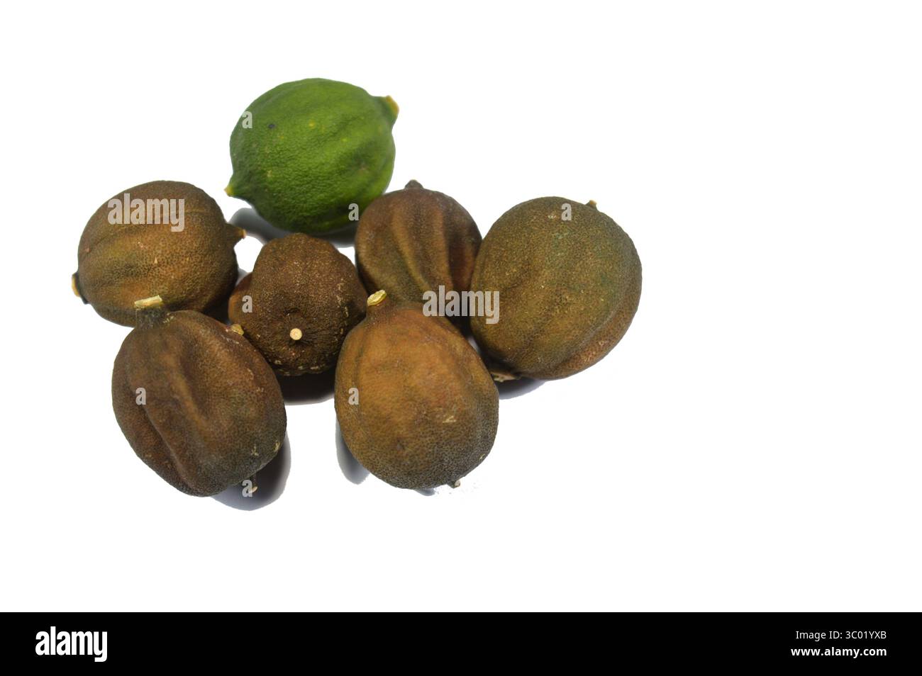 Lemon with mold, mould is one of the structures that certain fungi can ...