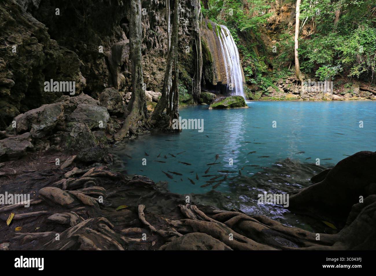 Fish swimming in waterfalls erawan hi-res stock photography and images ...