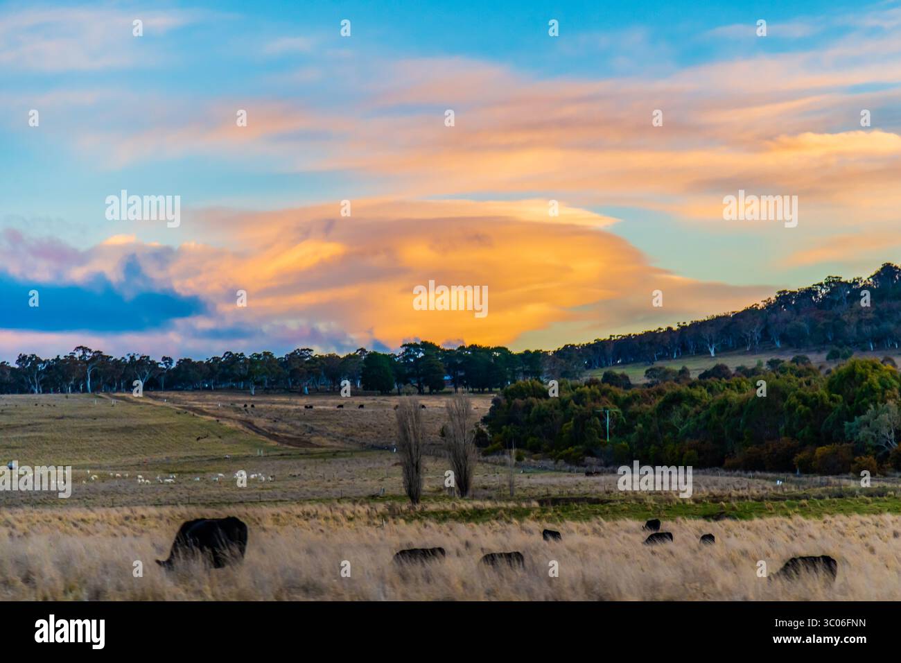 Rural landscape with clouds in the late afternoon near Braidwood in the ...