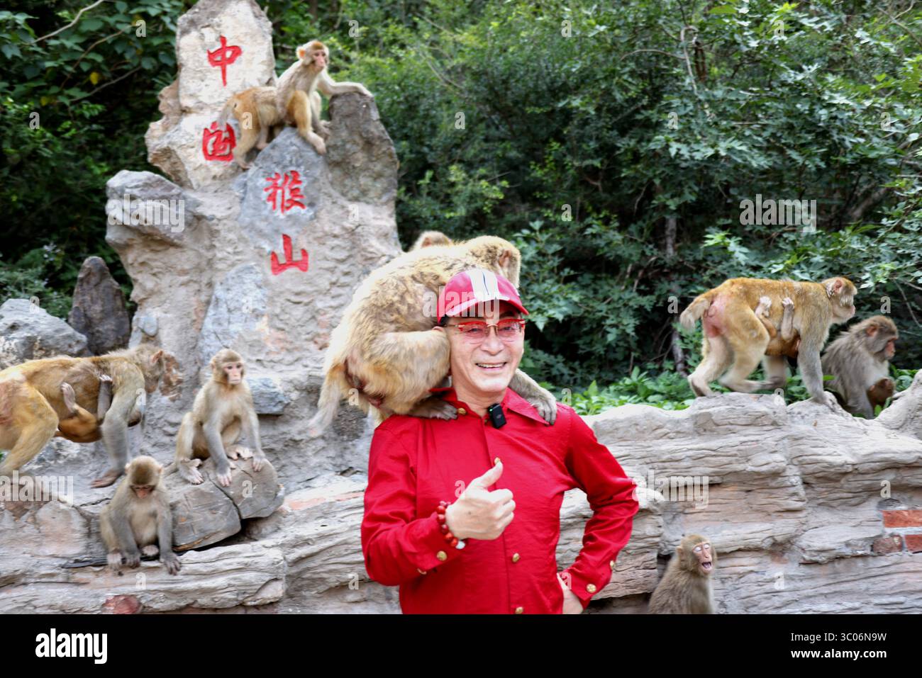 Chinese actor Liu Xiao Ling Tong visits a macaque reserve in Jiyuan ...