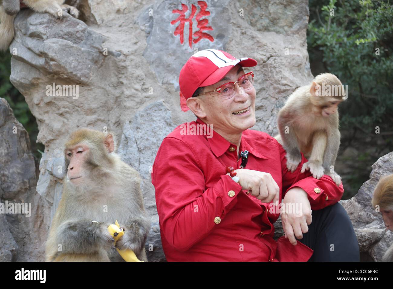 Chinese actor Liu Xiao Ling Tong visits a macaque reserve in Jiyuan ...