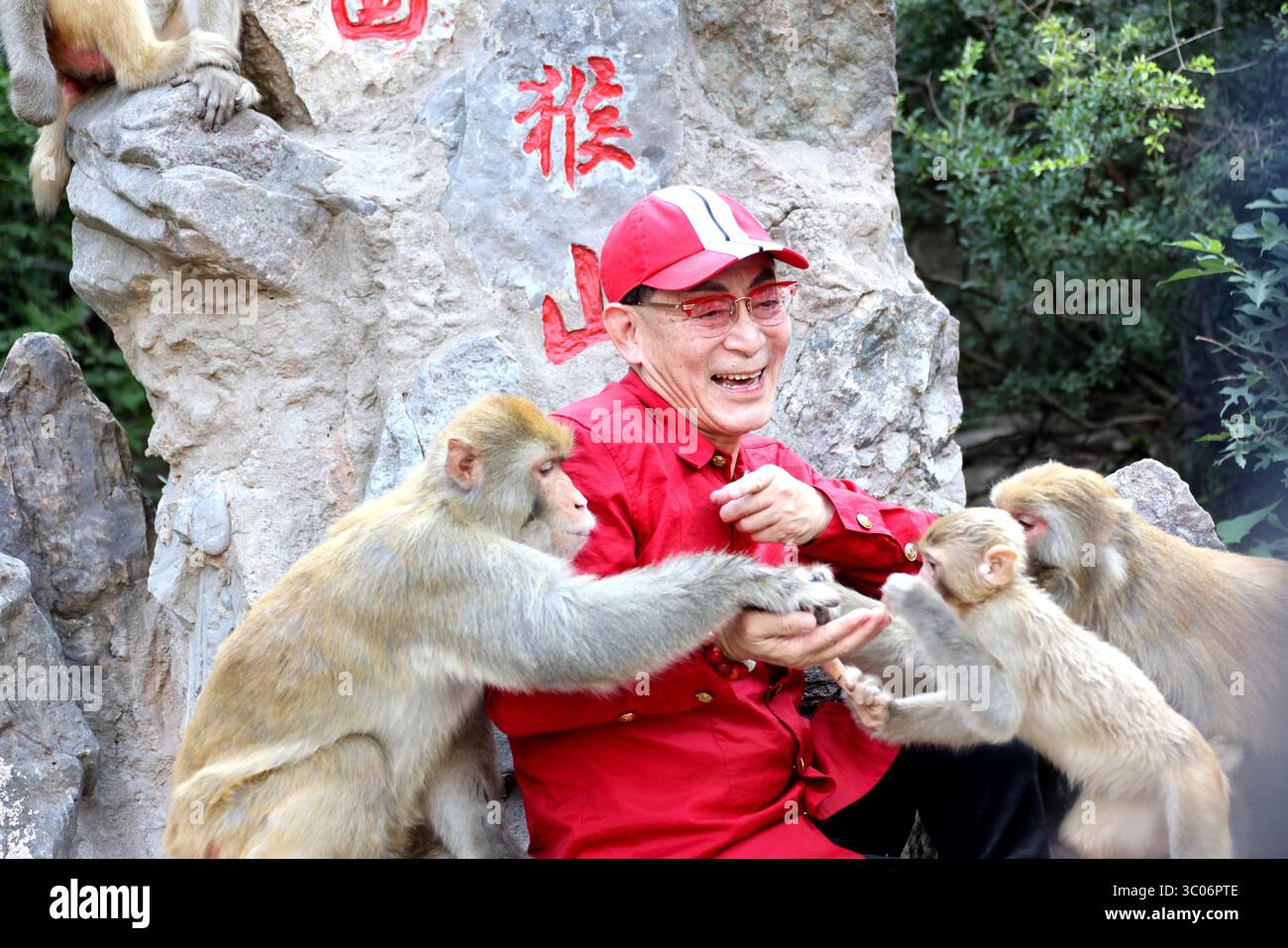 Chinese actor Liu Xiao Ling Tong visits a macaque reserve in Jiyuan ...