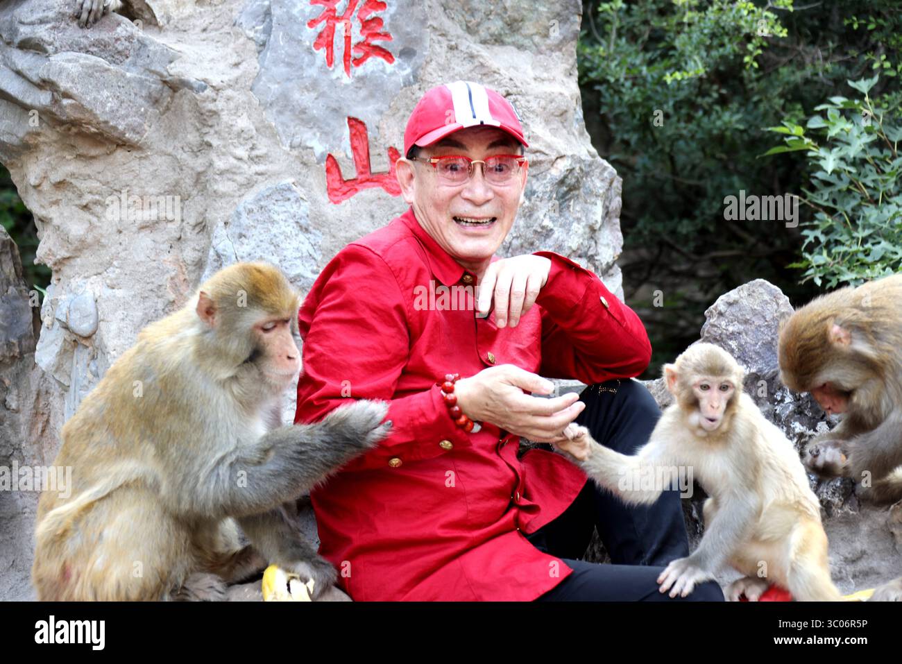Chinese actor Liu Xiao Ling Tong visits a macaque reserve in Jiyuan ...
