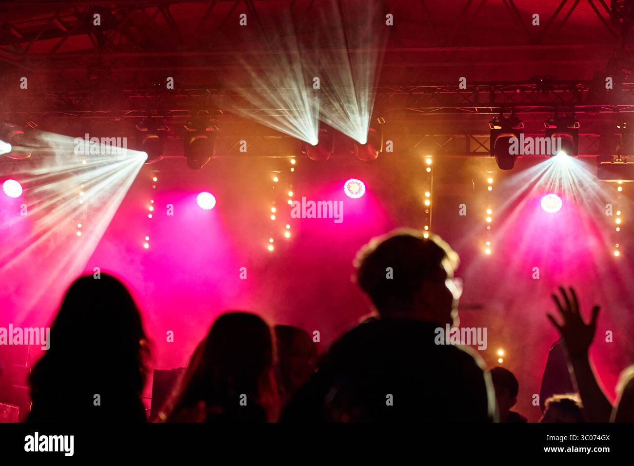 Crowd enjoying concert with bright lights and smoke on stage ...