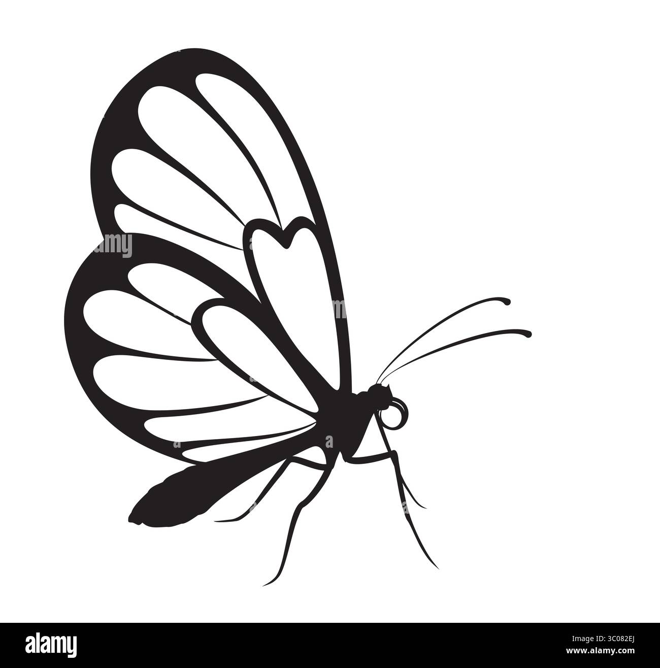 Silhouette of a butterfly Cut Out Stock Images & Pictures - Alamy