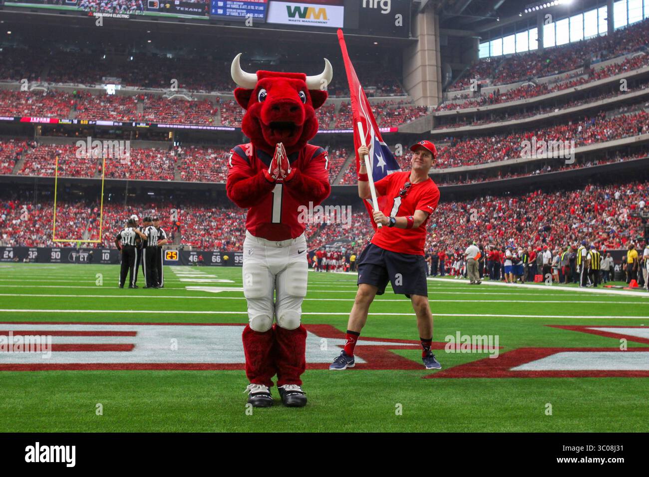 October 14, 2018: Houston Texans mascot Toro celebrates after a Texans ...