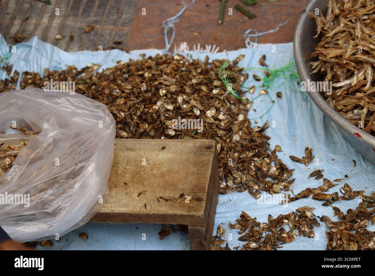 Waste material from dry fish during the cleansing process.Processing ...