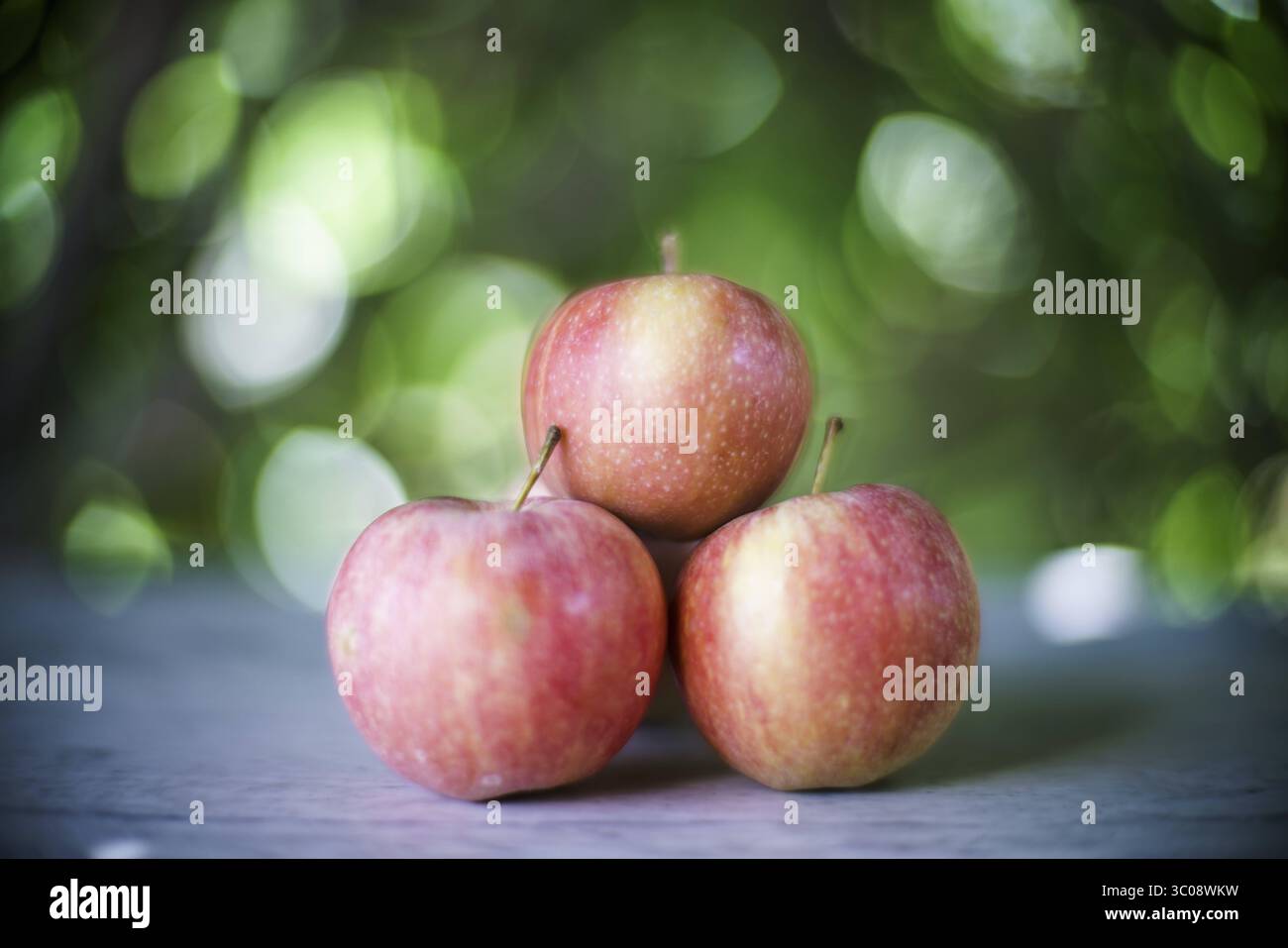 August 11, 2017 - Fuenteheridos, AndalucÃ­a, EspaÃ±a - Close-up of red ...
