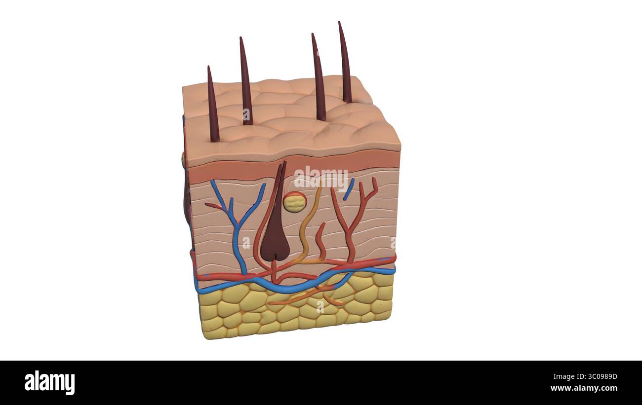 Abstract background internal structure Cut Out Stock Images & Pictures ...