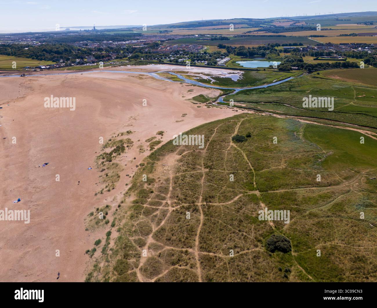 Aerial view of golden sands meeting lush green dunes and winding paths ...