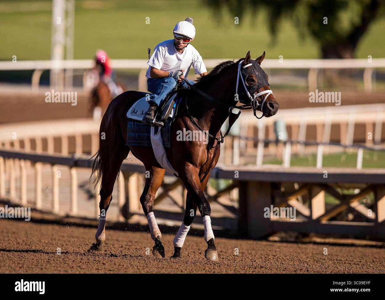 October 20, 2018 - Arcadia, CA, U.S. - October 20, 2018 : Breeders' Cup ...