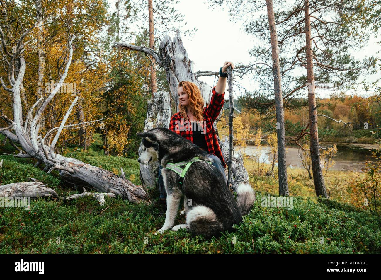 Hiker resting with her alaskan malamute dog in a forest near a lake in ...